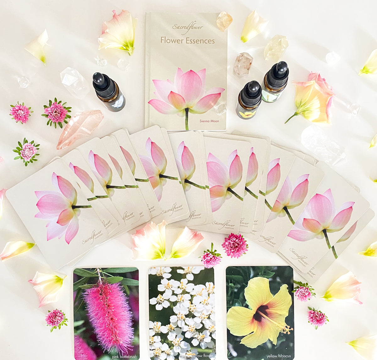 Flower reading + healing session. Distance healing. – Sacred Flower